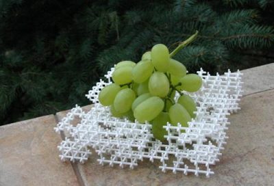 Generative Design: A Transformation in How Products Are Made - SMALL ...