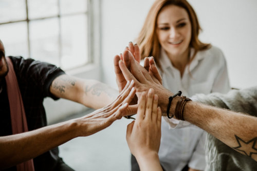 CEO Leadership: Navigating the Path to Organizational Excellence ...