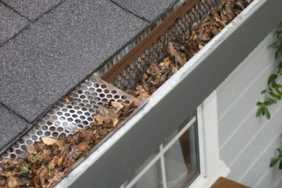 Essential Gutter Guards: Protecting Your Home Investment in 2026 ...